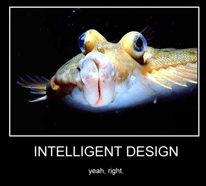 The Religion Virus Intelligent Design the-religion-virus-intelligent-design