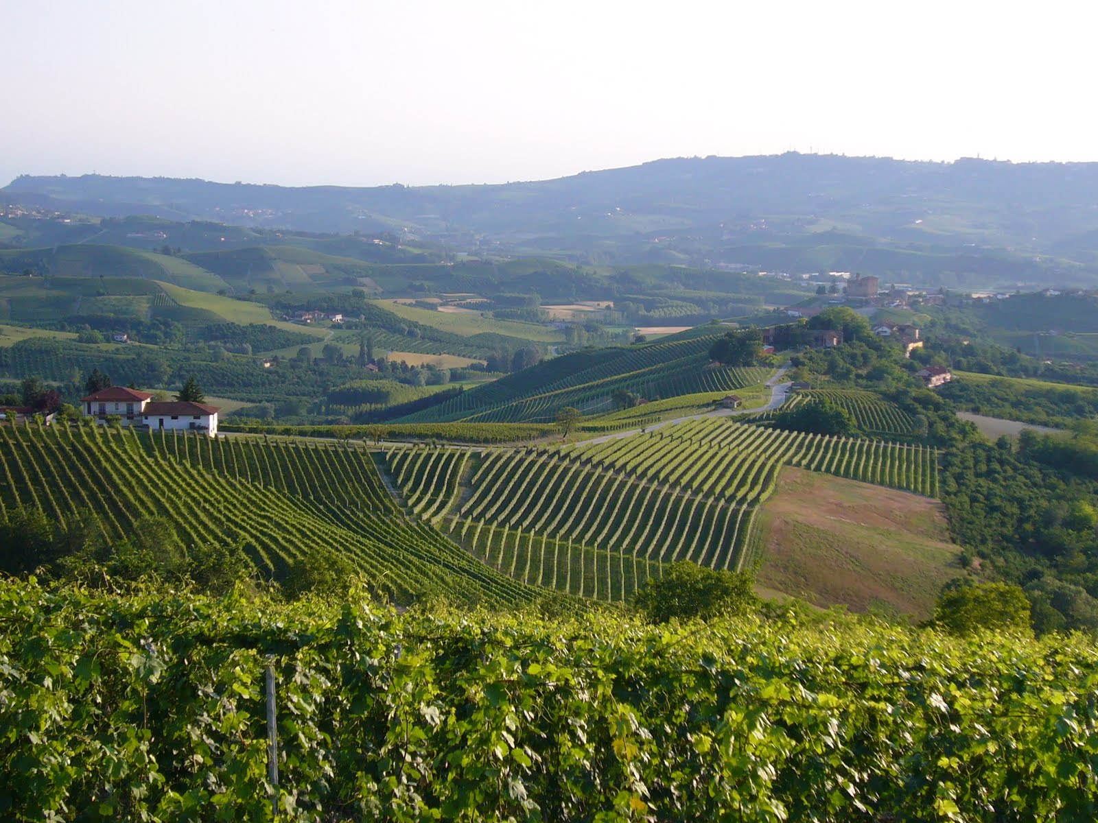 August Ridge in Italy: In Piemonte