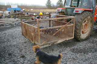 meat: Pig carrier & trailer improvements