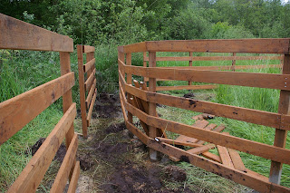 meat: Building a corral, part 3 of 5, rails and gate framing