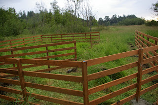 meat: Building a corral, part 3 of 5, rails and gate framing