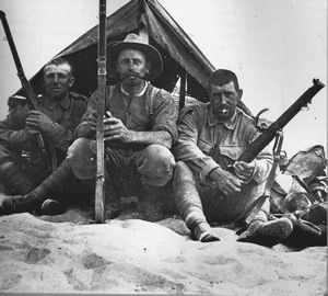 The ED6115 Diaries: Diggers