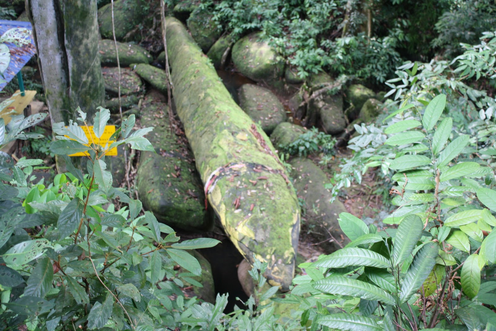 ReLaX: Batu Nabau at Engkelili, Sri Aman