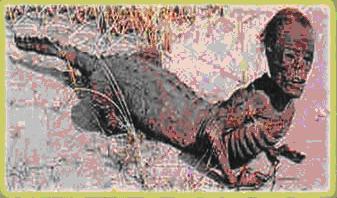 Fenomena Dunia: Mengenal Alam Jin