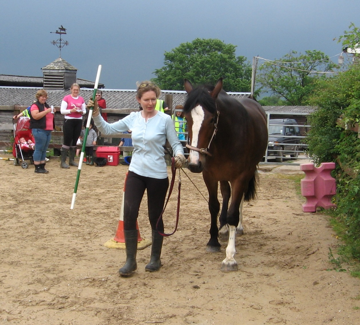 Sir Braveheart: My life so far