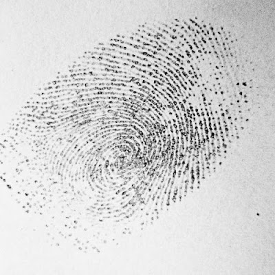 Forensic Multimedia Analysis Blog: Chemically Processed Latent Prints