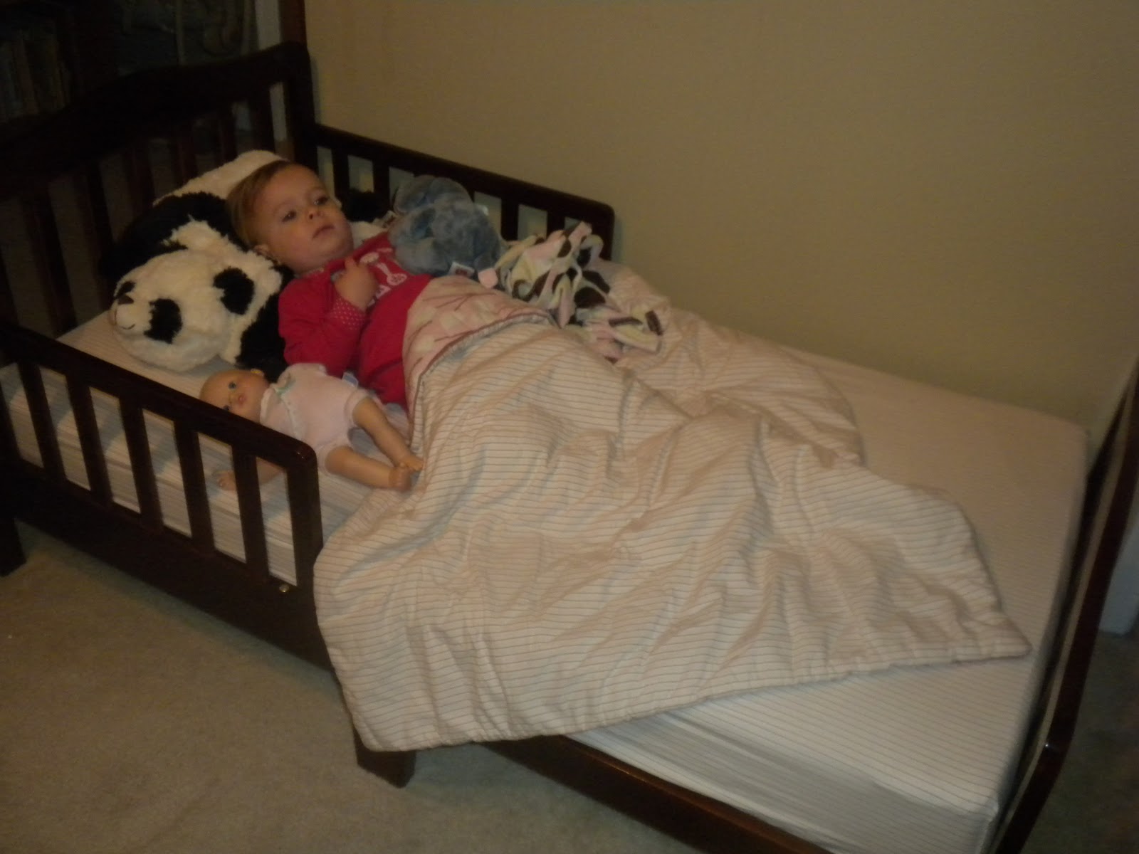 Tim And Jules Big Girl Bed