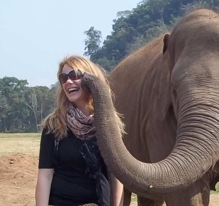 32 New Things: Touch An Elephant