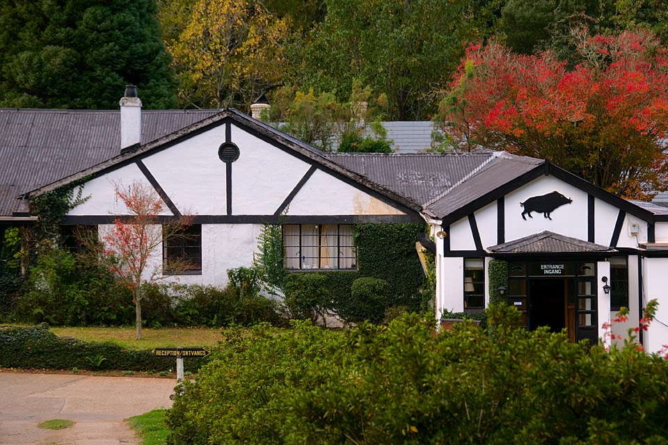 Wanderlust: A Global Odyssey by Matt Prater: Tsitsikamma / An ...