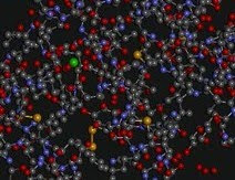 albuminas y globulinas