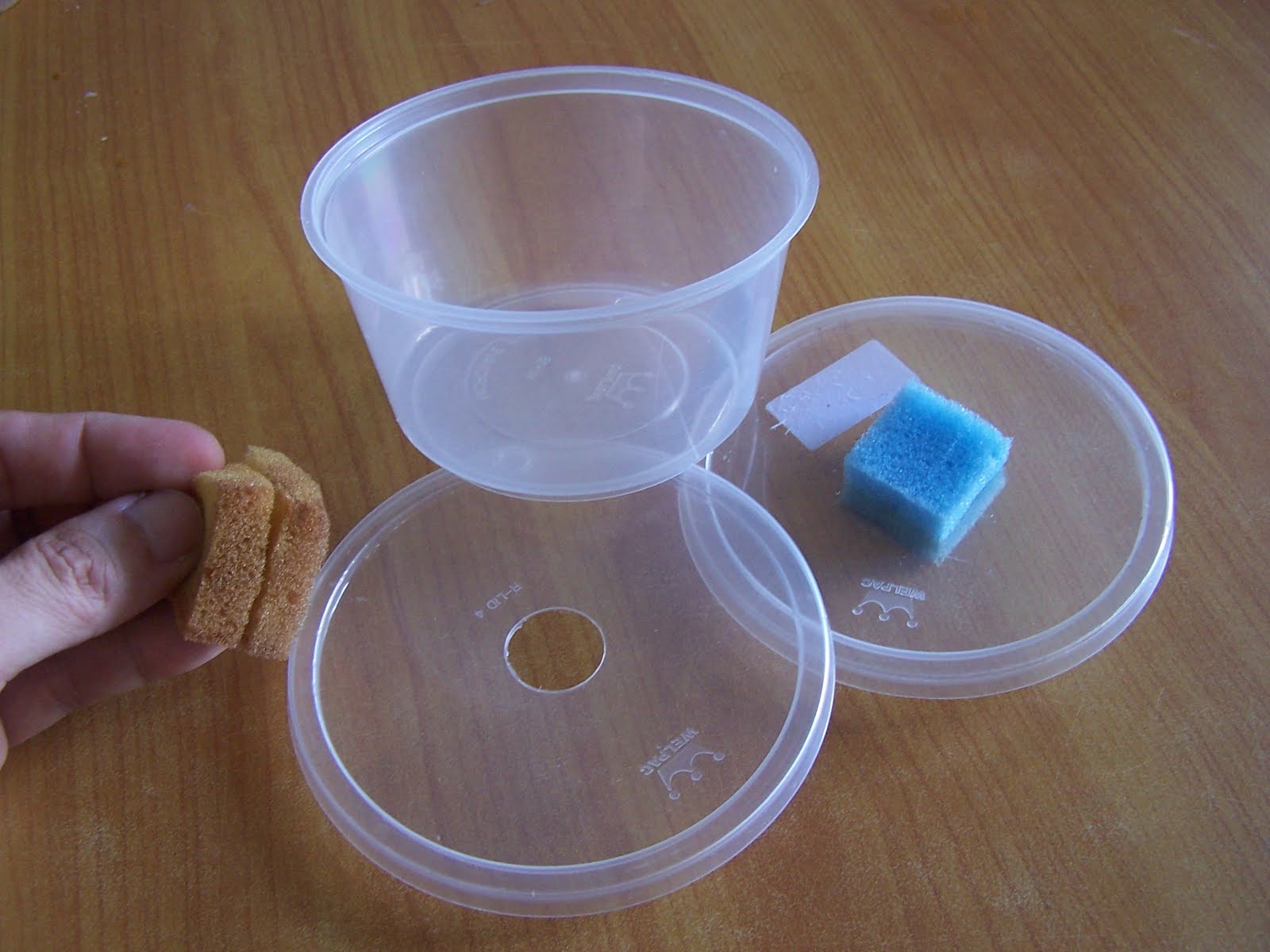 Ecologicord: Microworms