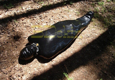 rubbergimp: Outdoor bondage sleepsack