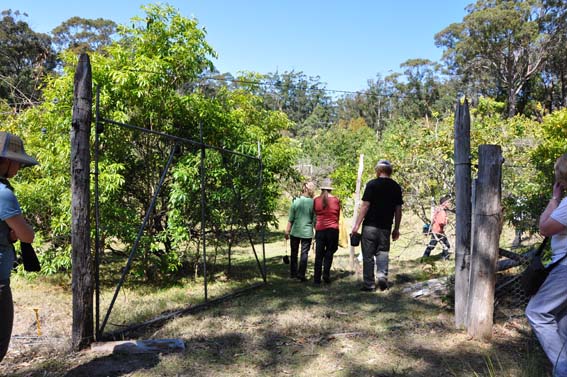 art and etc: sticky beaking...