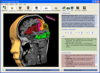 : Portable BrainVoyager Brain Tutor 2.0
