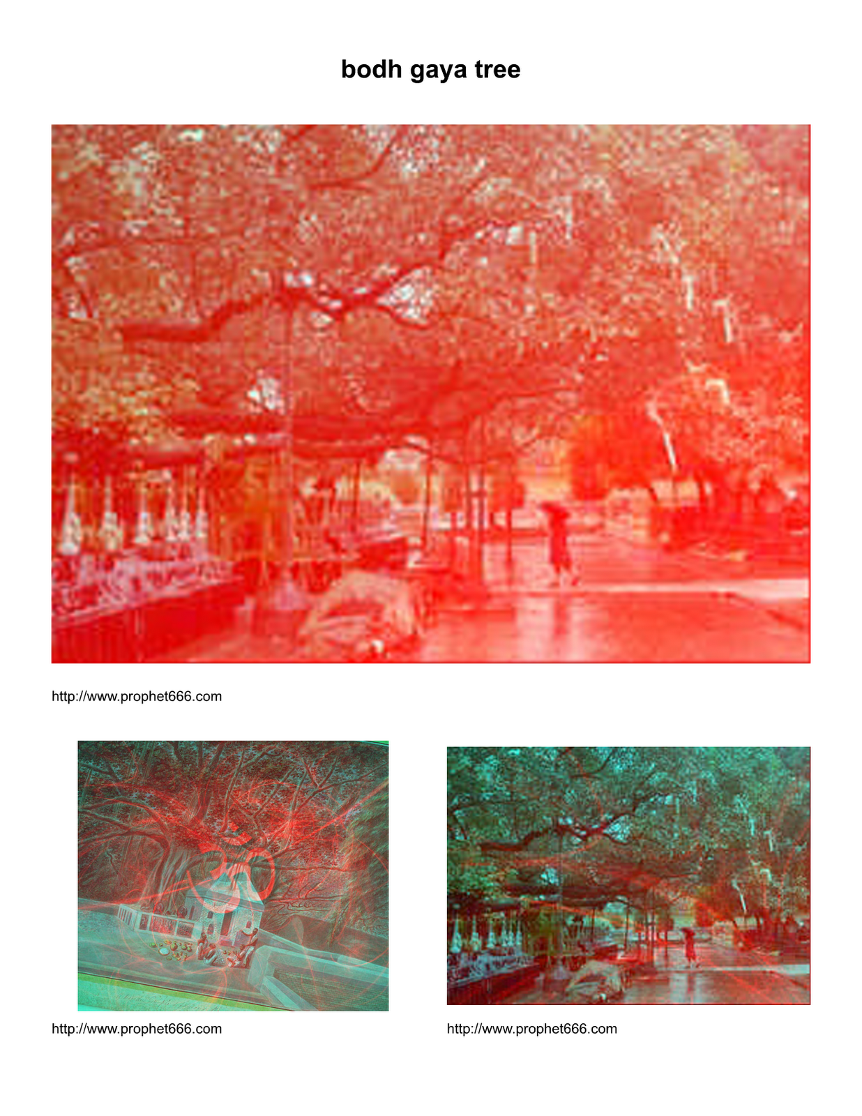 3d images of bodh gaya tree