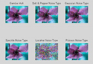 Andhika Putro: Noise Pada Citra