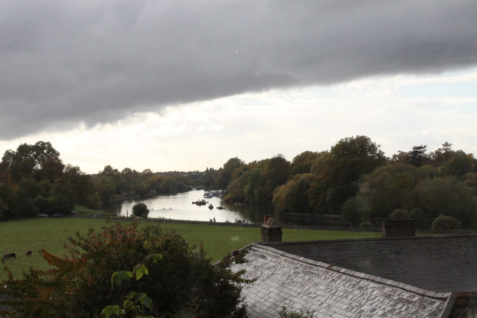 The London Foodie: London Restaurant Reviews - The Petersham Hotel