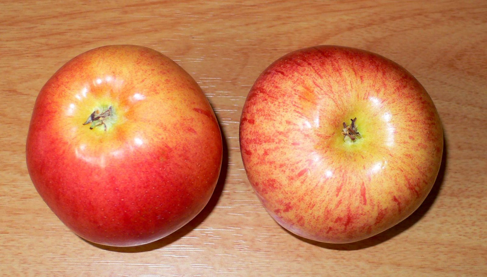 Miley Cyrus has an apple bottom : r/funny