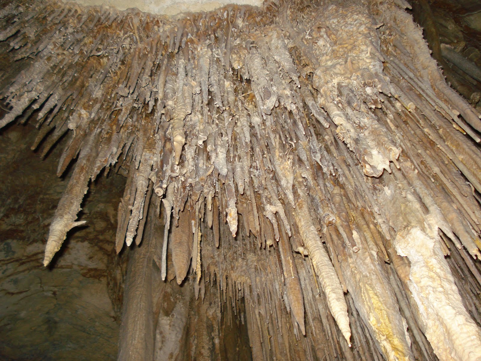 Stafford's On The Road: Lehman Caves, Nevada