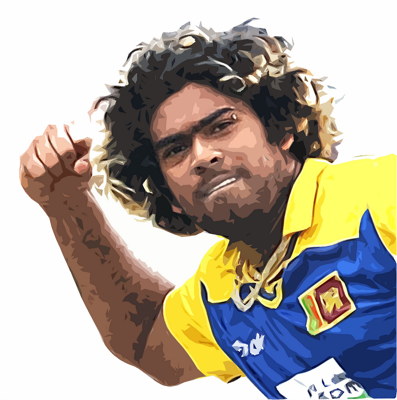 Cricket = Action = Art: 2011-01-30