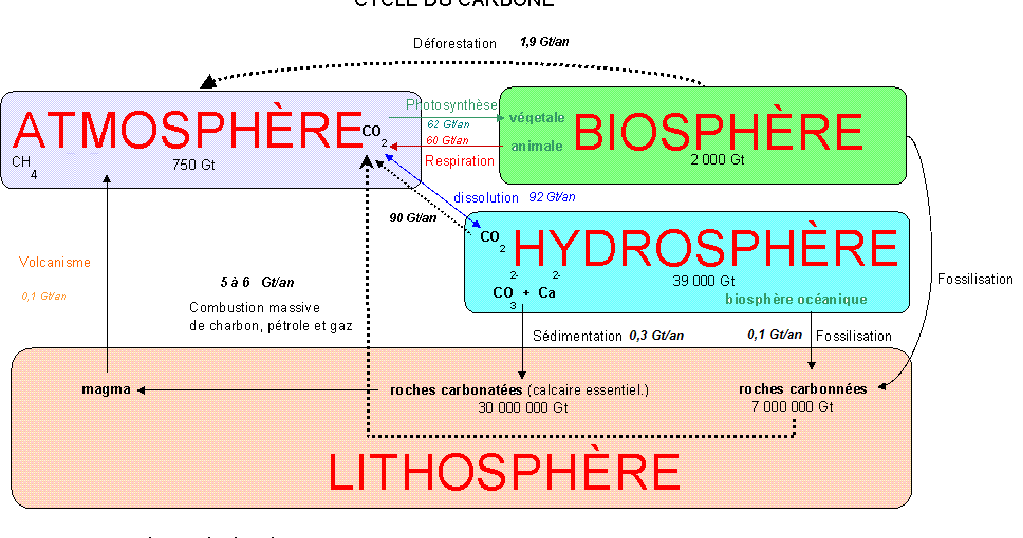le pétrole abiotique: Kérogène : le problème de la quantité de carbone ...