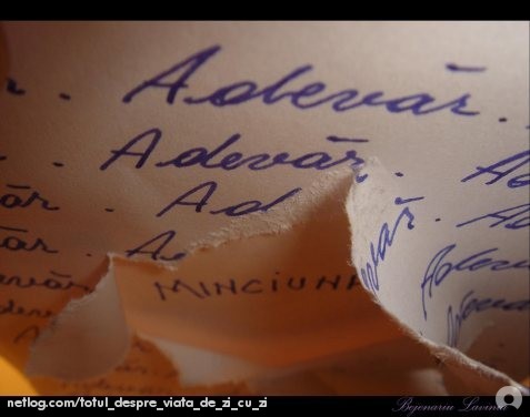 VISATOR...: Adevar sau minciuna