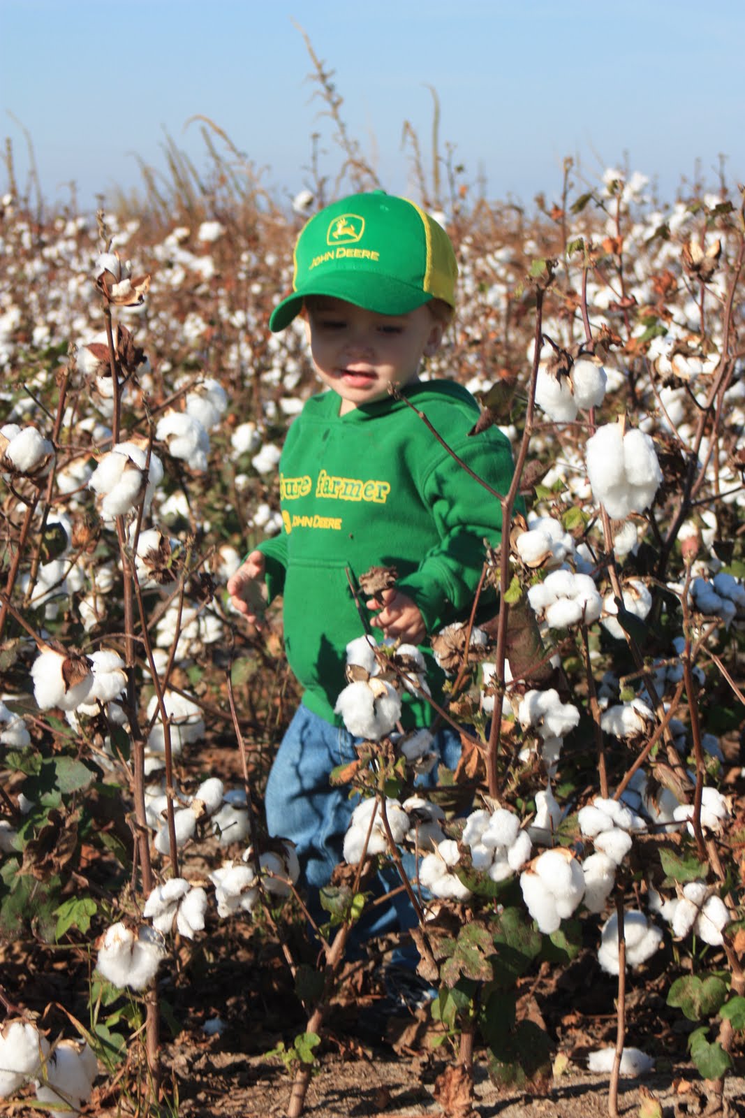 Captivating Moments Photography: In high cotton