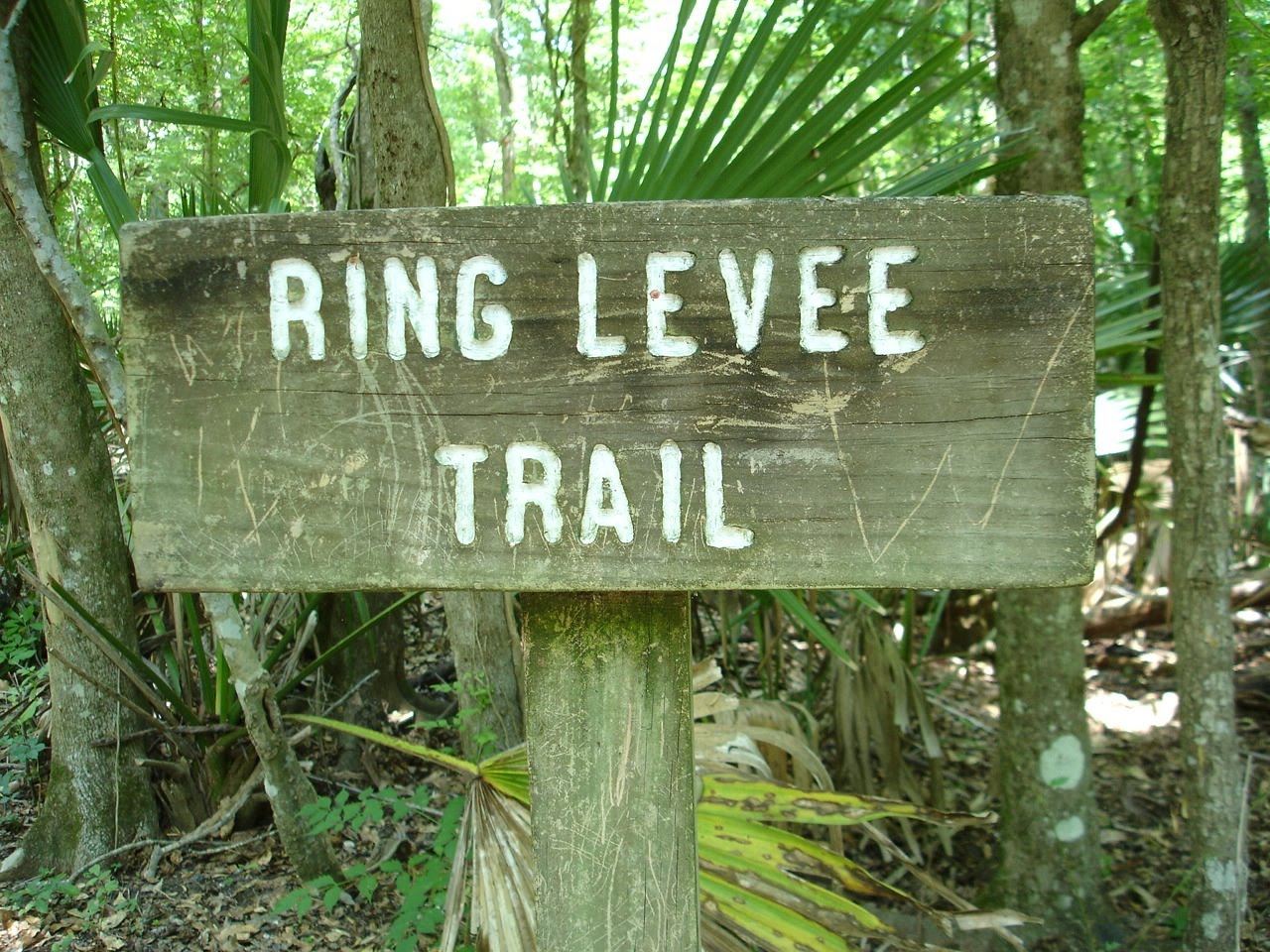 pic journal: Ring Levee Trai