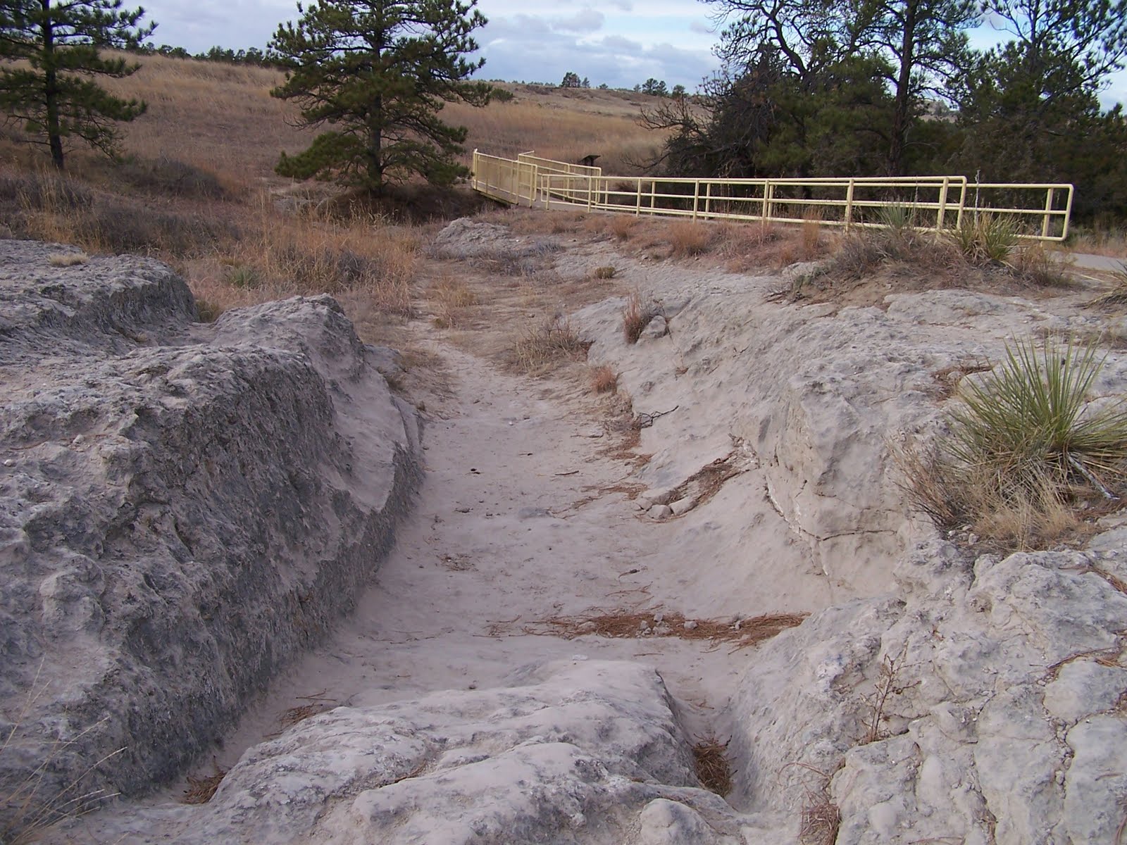 The Casper Cousins: Wagon Ruts Cut Through Rock