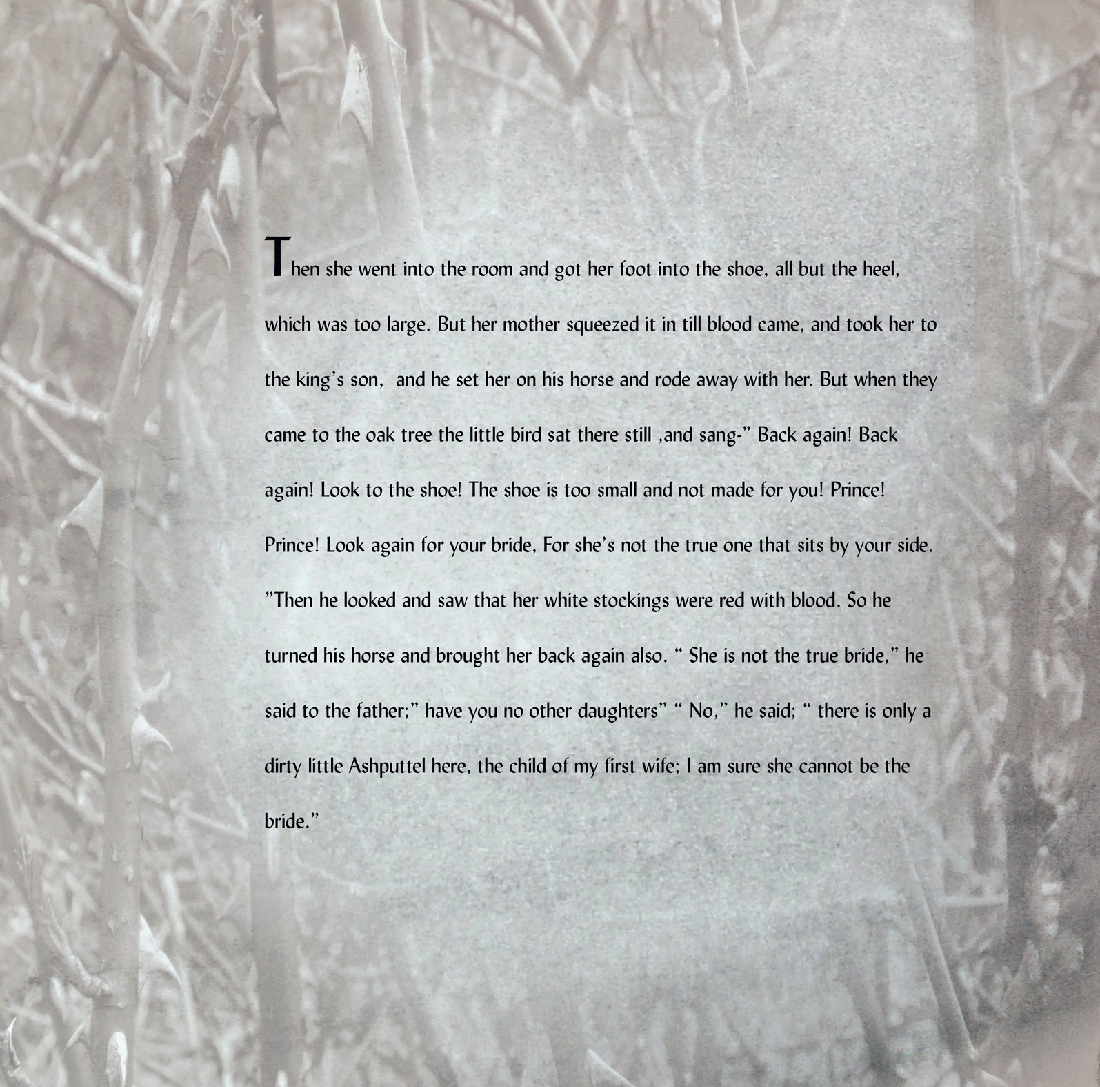 Stonemaiden: Ashputtel ~ the whole story!
