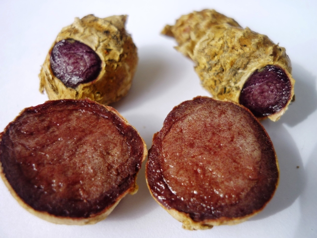 AGEasyGrow: Kunyit Hitam