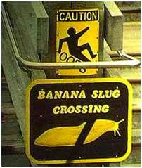 Road Safety Talks: 11 Most Funny Safety Warning Signboards