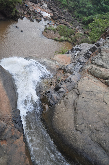 Things do to in and around Dediapada National Park in Gujarat