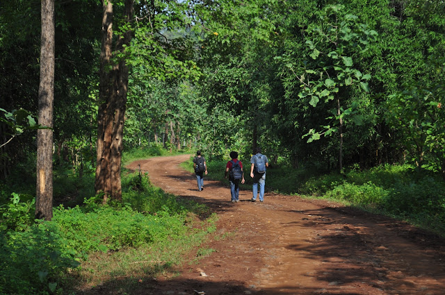 Things do to in and around Dediapada National Park in Gujarat