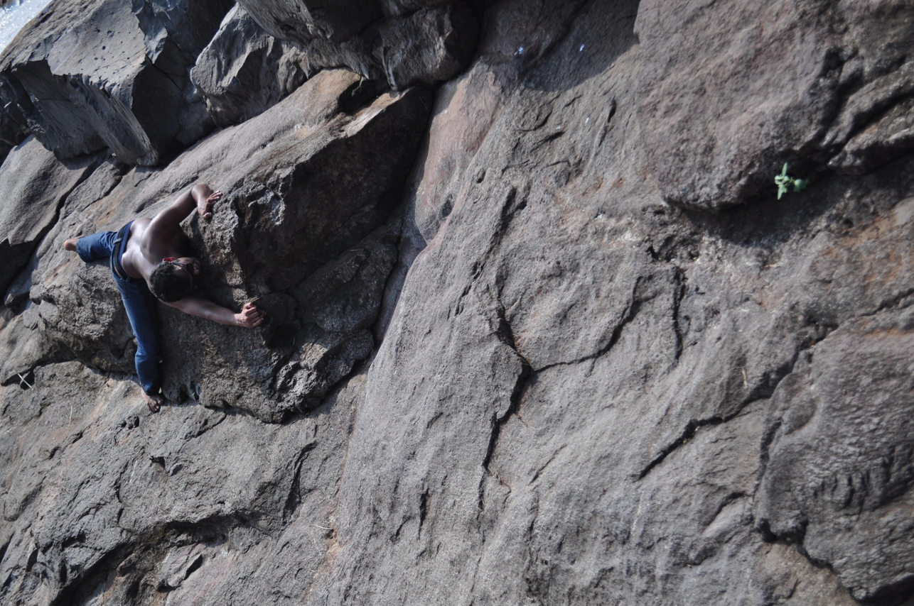 Things do to in and around Dediapada National Park in Gujarat