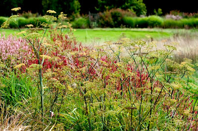 Paul Ridley Design: Planting with Style