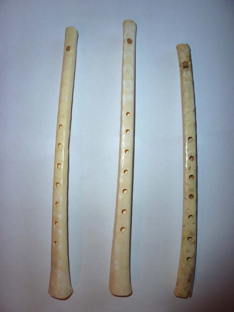 plenas: Instrumentos musicales de Plenas