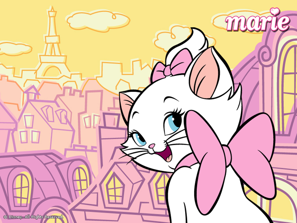 Gata Marie Wallpaper Imagui