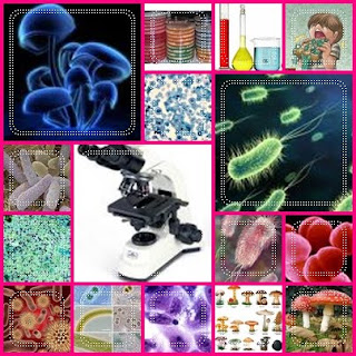 keilis tejo ^_^: COLLAGE DE MICROBIOLOGIA