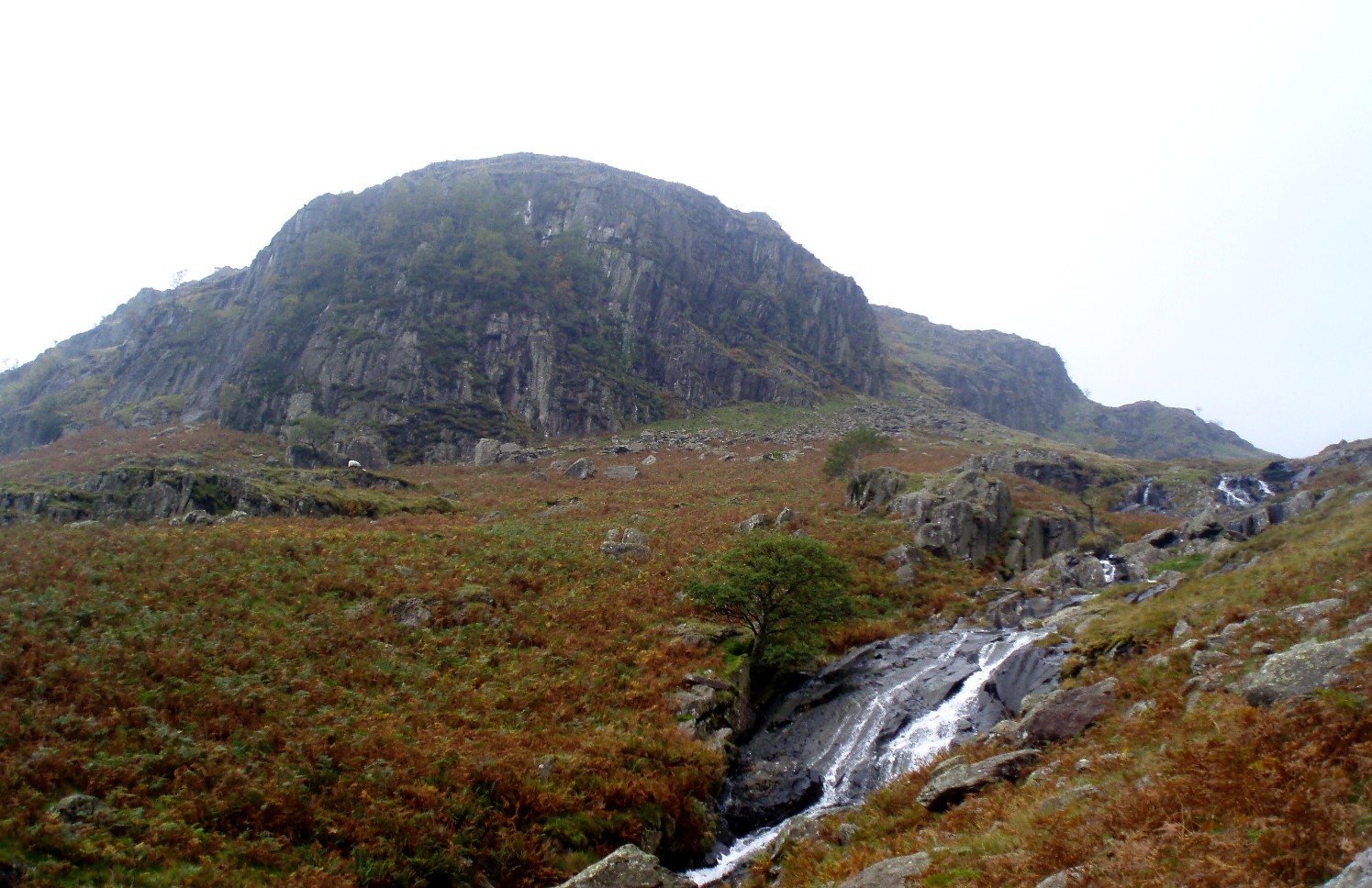 Wild on Arran: A quiet corner of the Lake District