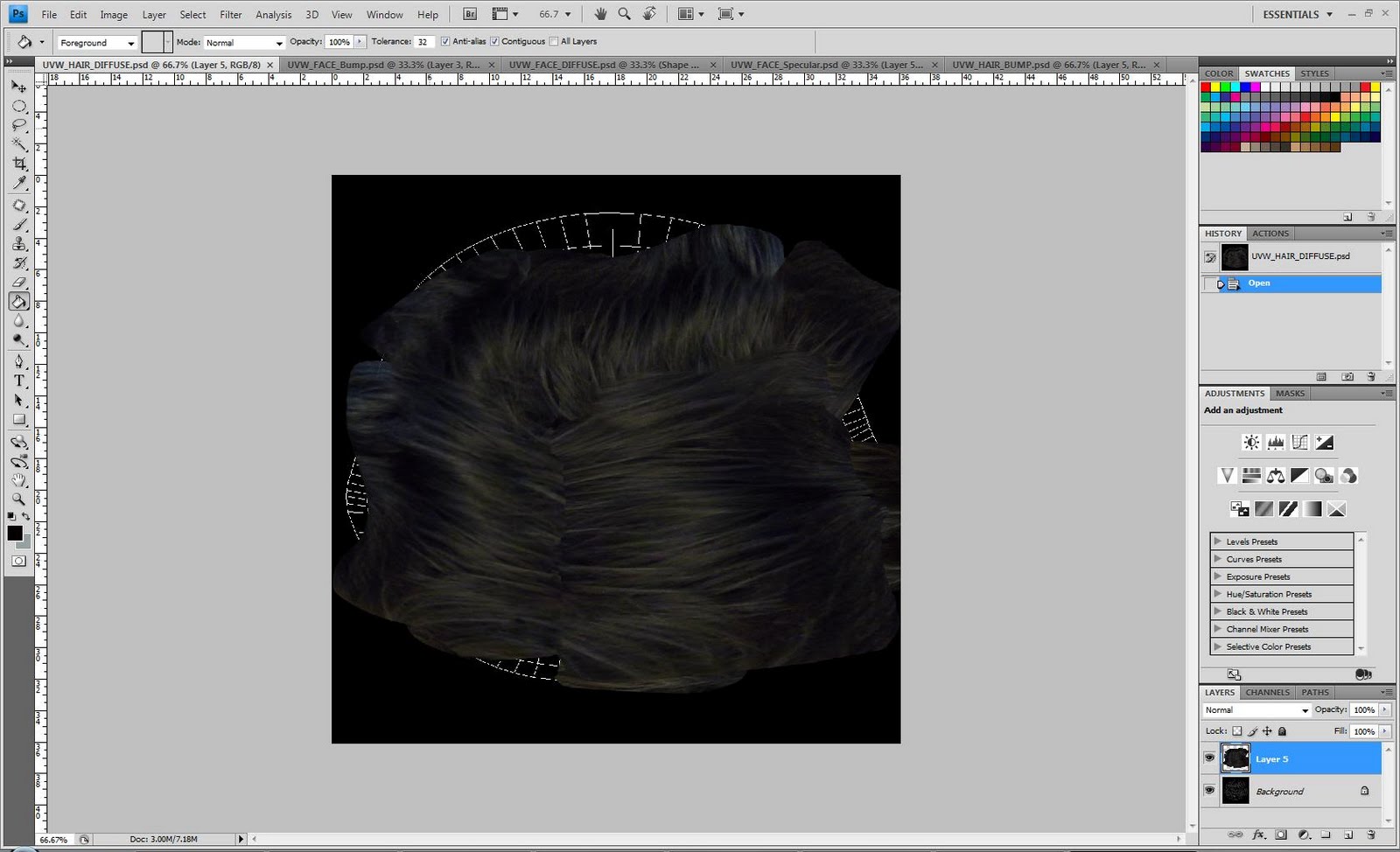 Virtual Environments: Creation and Animation of my 3D Head