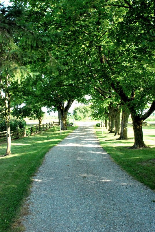 The Grower's Daughter: A Trip to the Country ~ Lakeview Farms