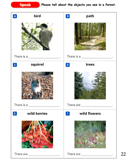 Junior English: Lesson 5: Talking about Forest