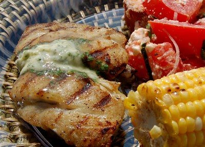 Beyond Salmon: Lights... Camera... Bluefish!