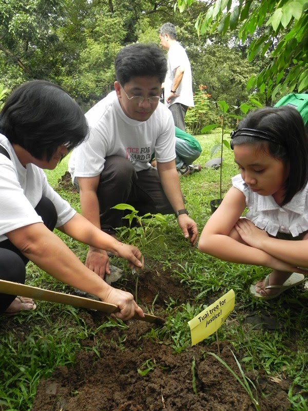 OUR PHILIPPINE TREES: 40 Trees for Justice
