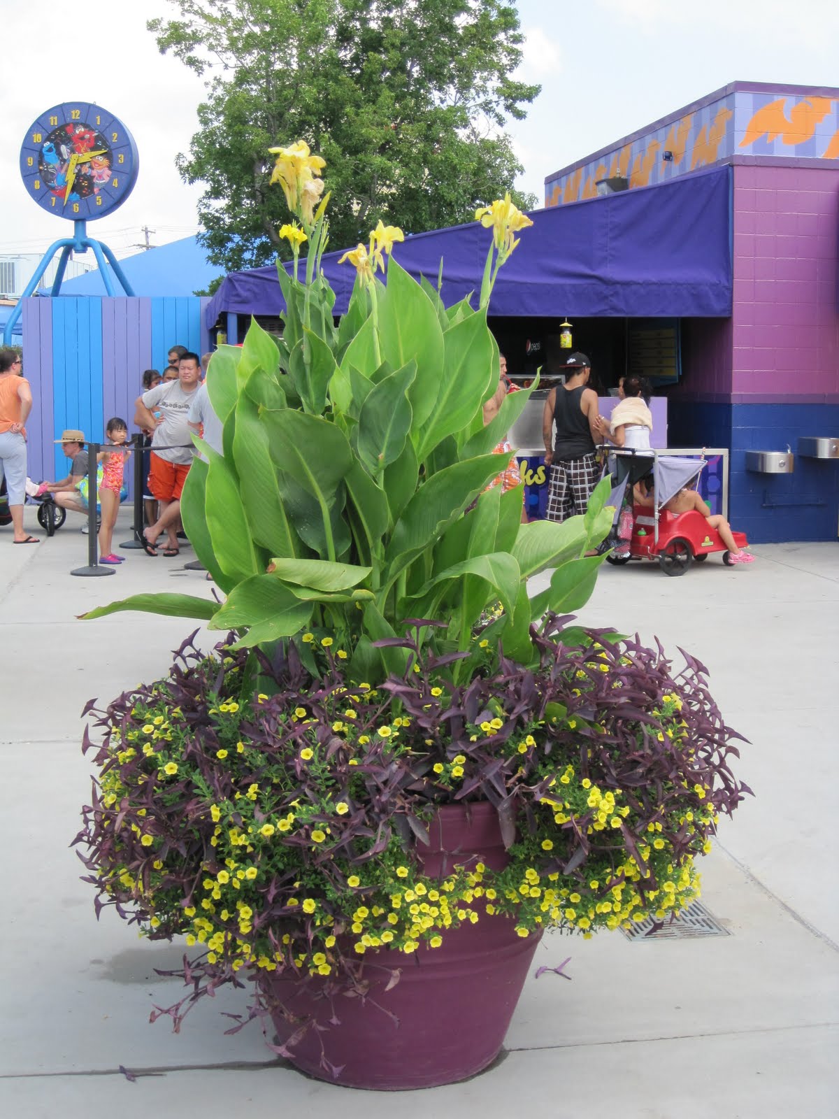 Gardening and Gardens: Colorful Containers