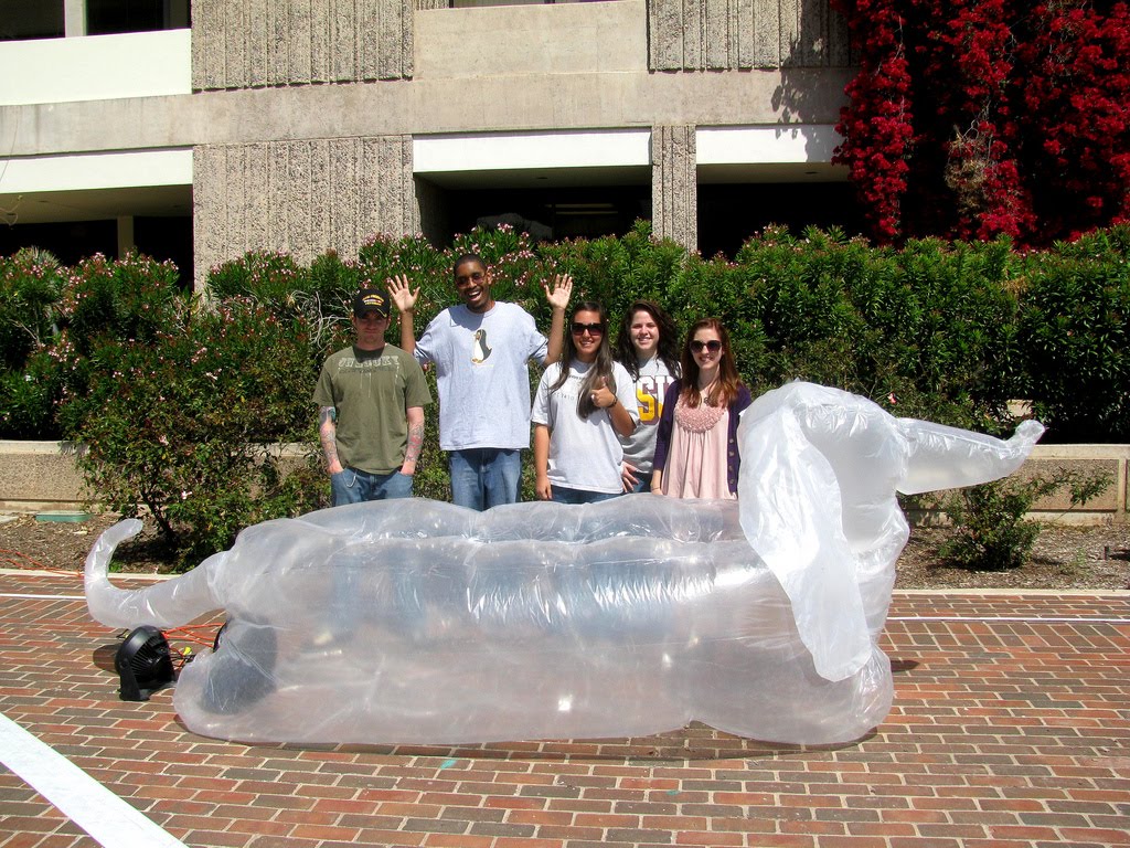 Lynette Andreasen: Inflatable Sculptures