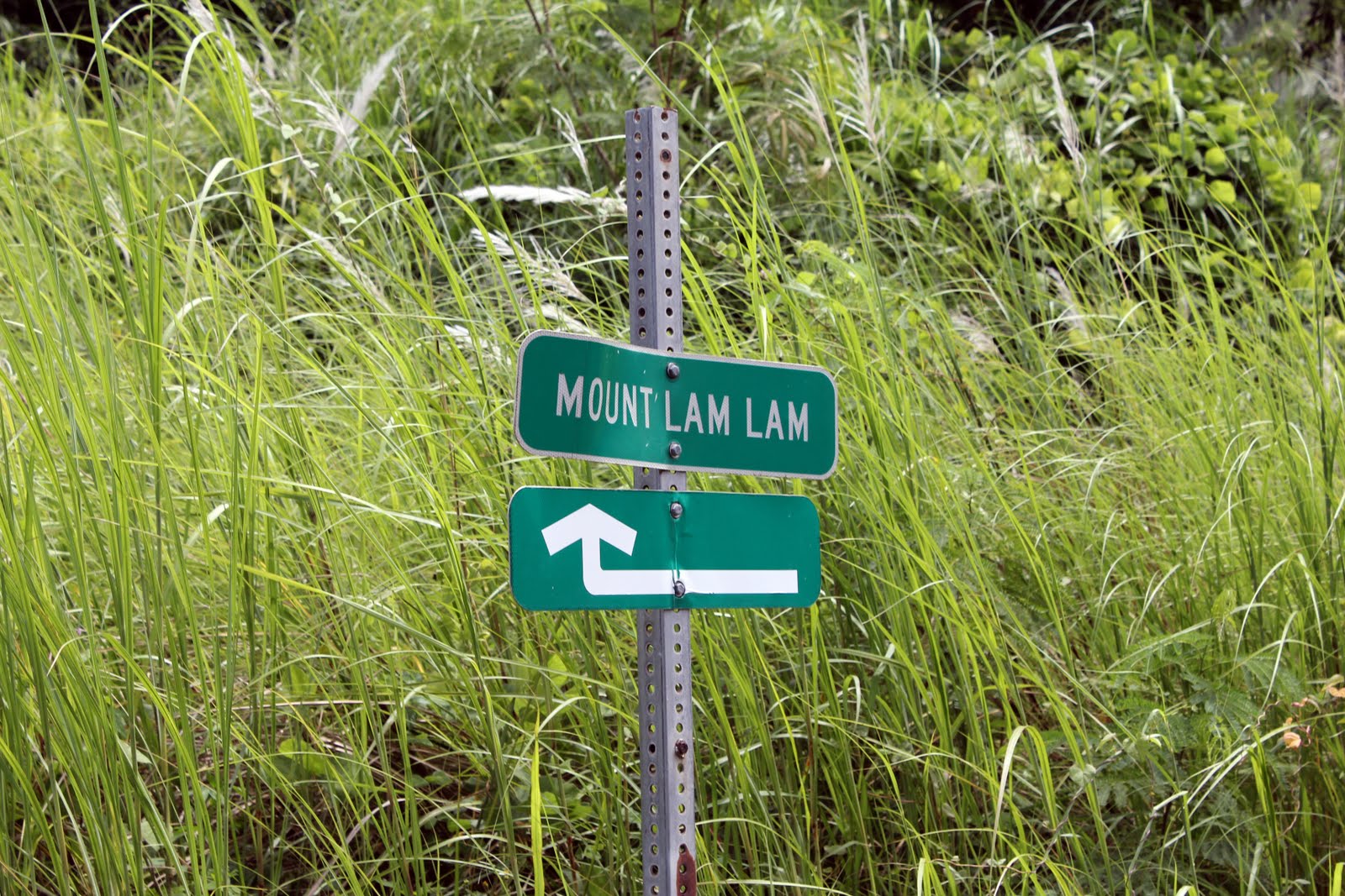 Lynette Andreasen: Mount Lam Lam