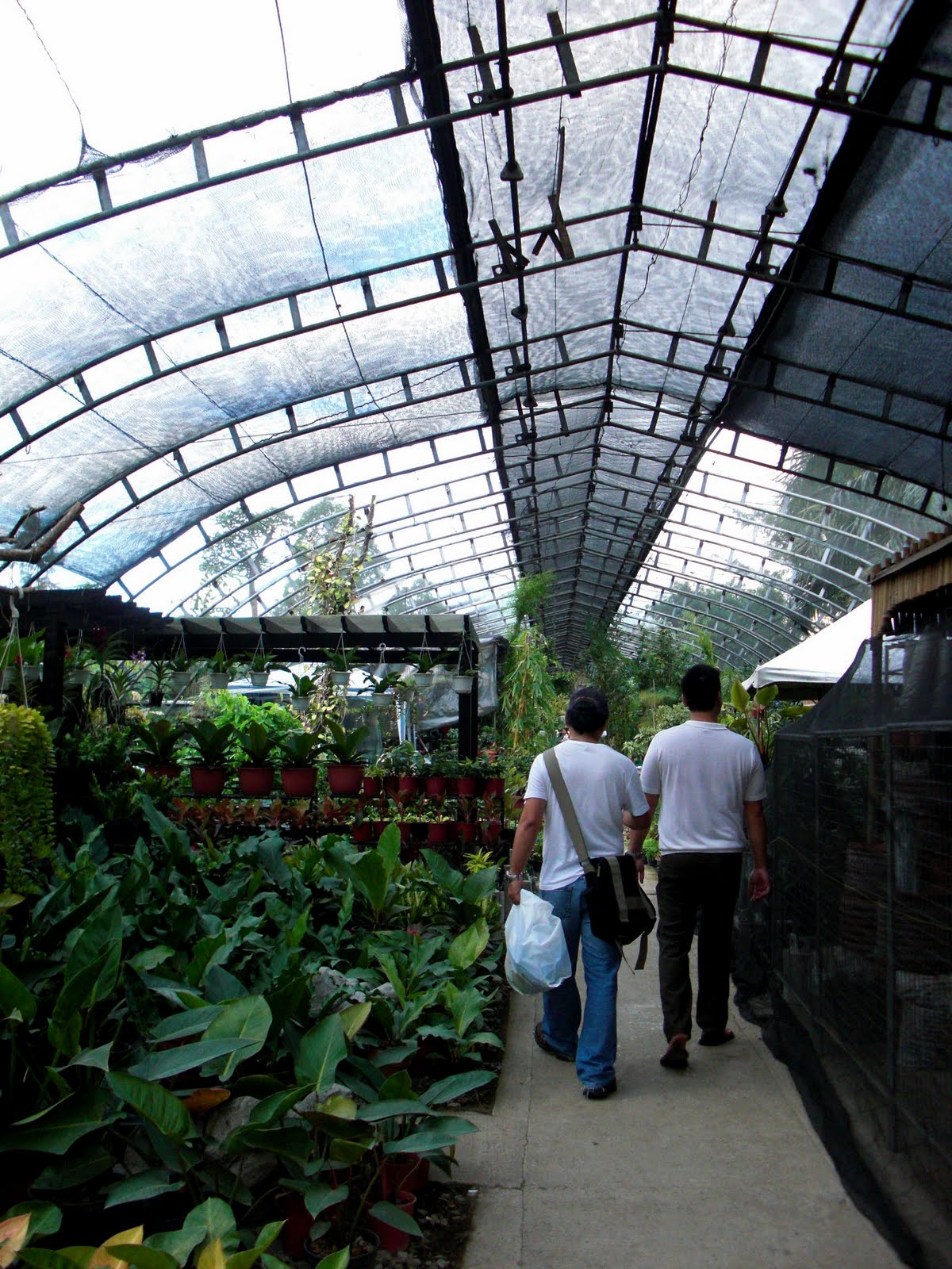 i gotta go!: sunday at the manila seedling bank