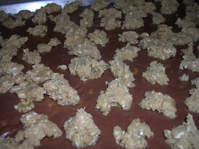 Tried and True Yummy Recipes: EVIL OATMEAL BARS